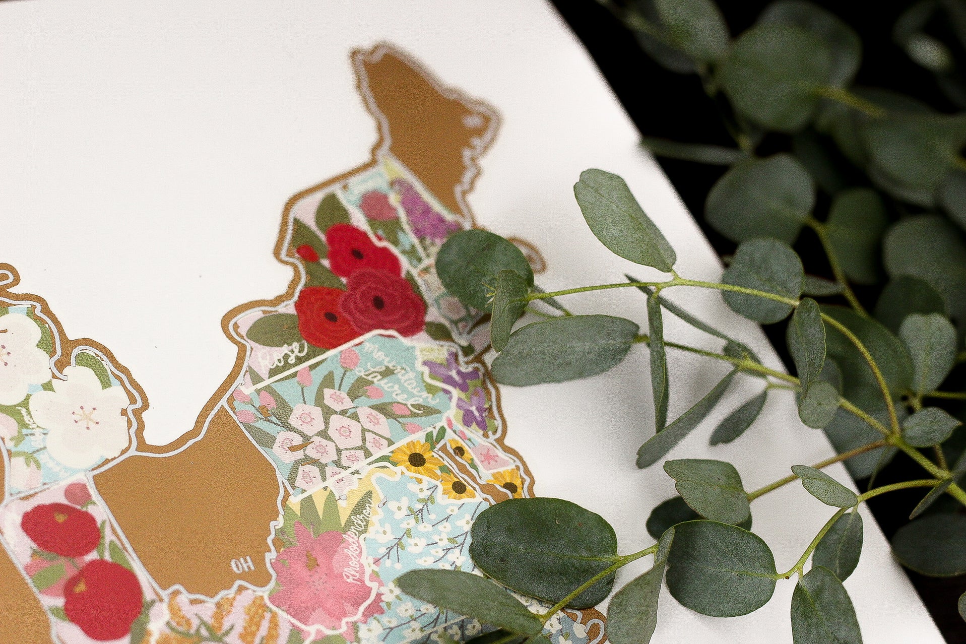 Scratch Your Travel Floral Maps — JetsetterMaps